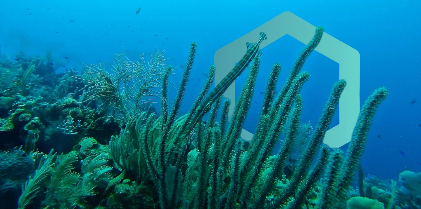 NatureMetrics: Pioneering Nature Intelligence with eDNA Technology